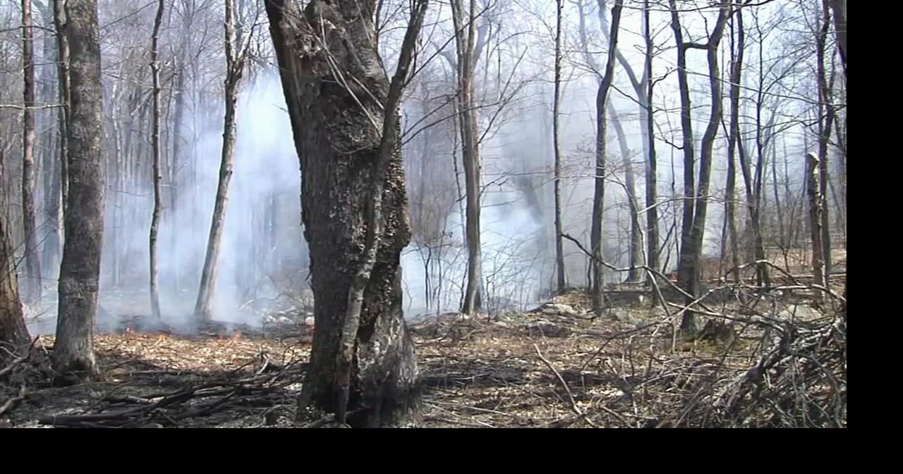 Officials: Massive brush fire in Luzerne County grows overnight ...