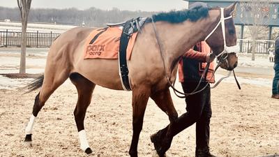 Forgiveness, hope and a racehorse named Ephrem: Faith on the fringes of ...