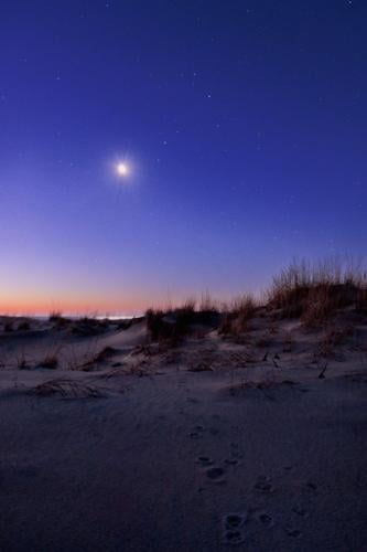 Chester County native a finalist for Bird Photographer of the Year ...
