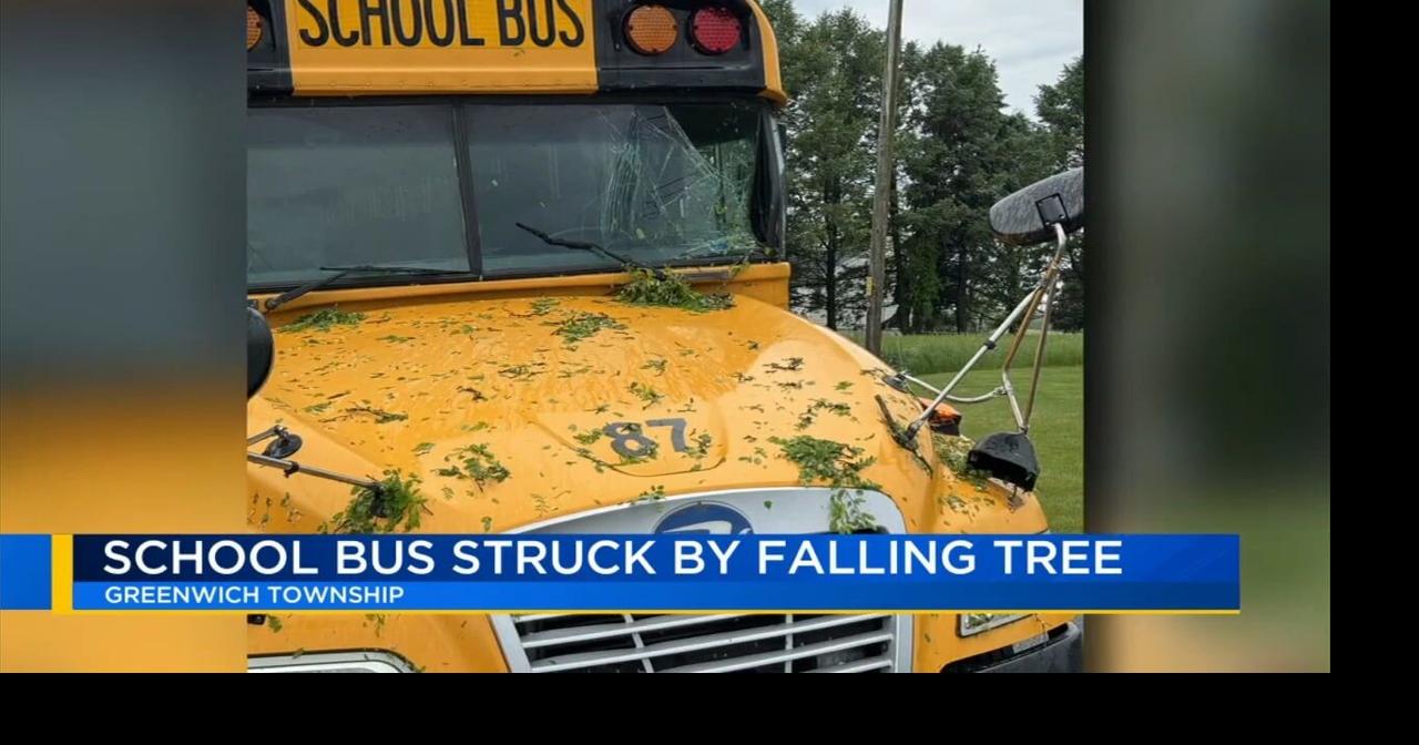 Tree lands on school bus during brief, gusty storm | Berks Regional ...
