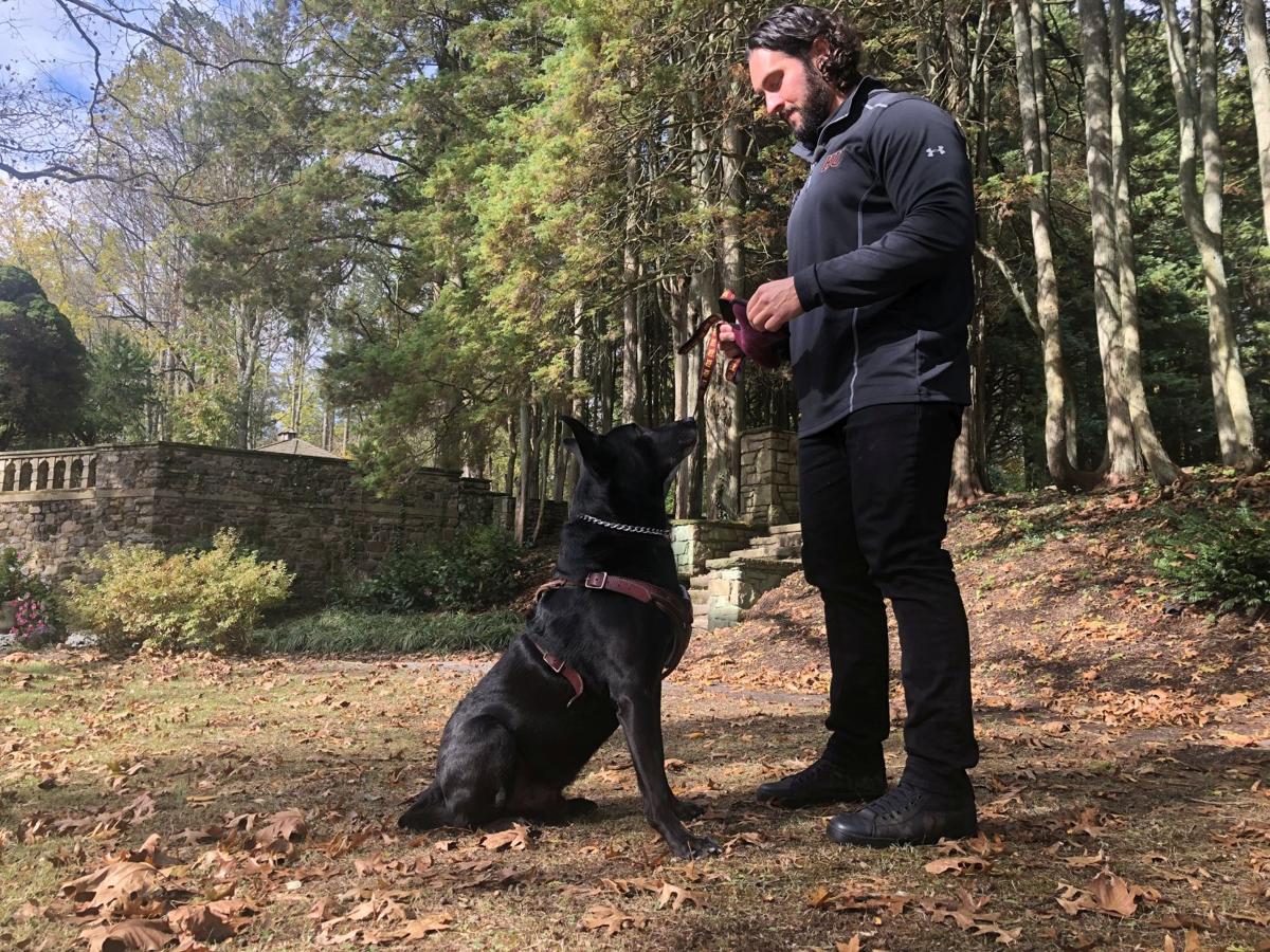 KU grad, Secret Service K9 honored for protecting White House | Berks ...