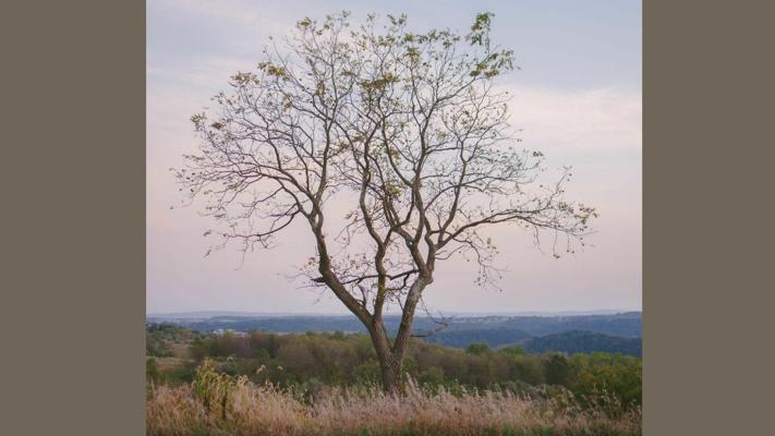 Lehigh County says burns will begin at Trexler Game Preserve on Monday ...