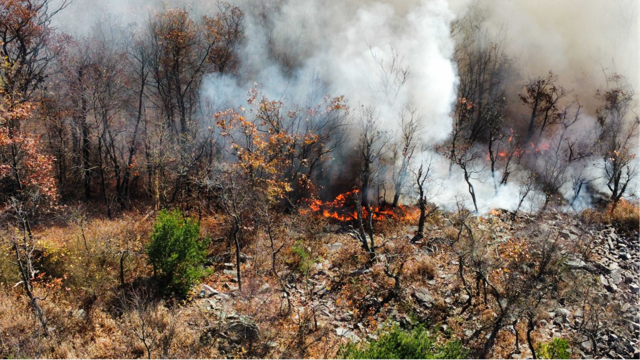 PHOTOS: Blue Mountain fire in Lehigh Township spreads to 150 acres ...