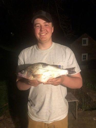 Berks teen reels in new Pa. state record white perch | Berks Regional ...