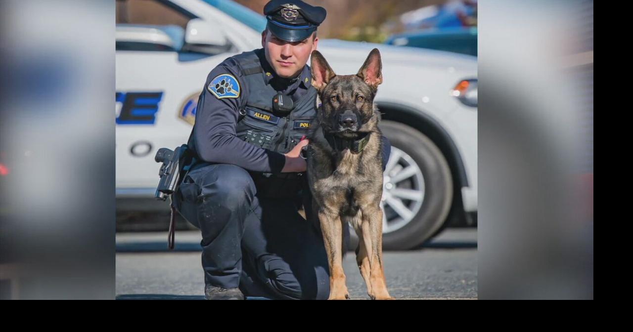 Hatboro police officer, who had severe reaction to bee sting, dies ...