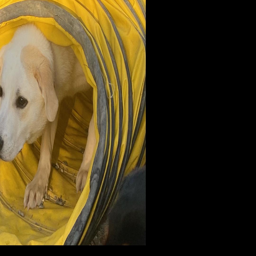 Send us your photos and video - WFMZ-TV 69News | wfmz.com