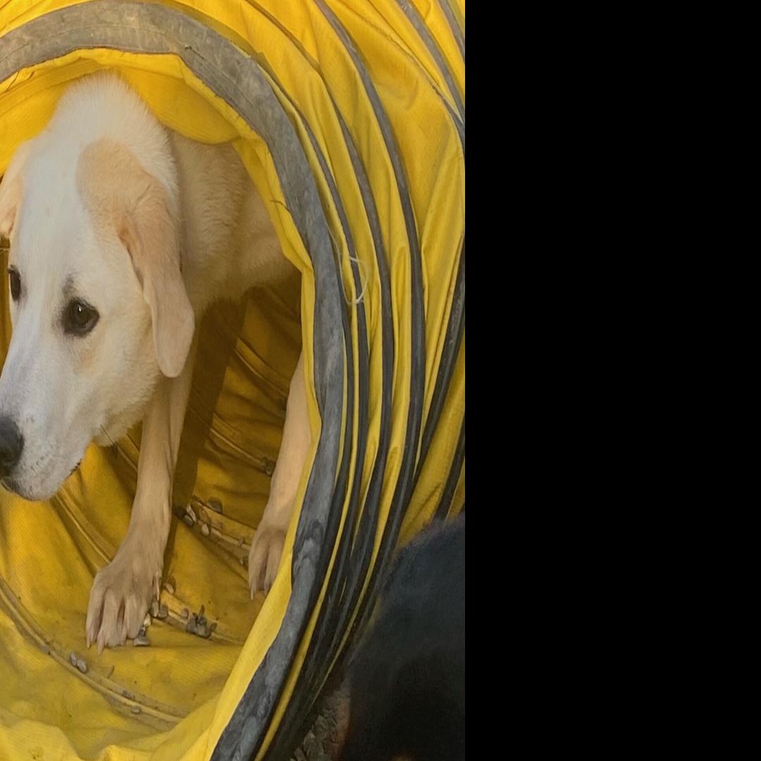 Send us your photos and video - WFMZ-TV 69News | wfmz.com