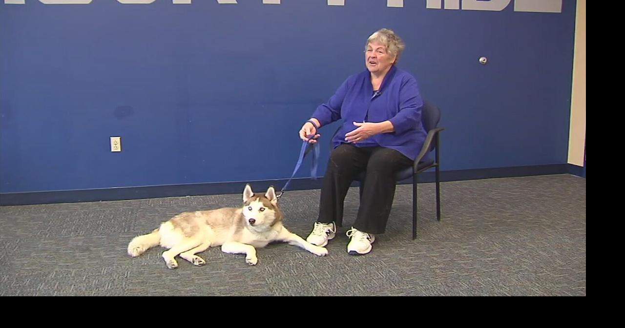 Dieruff High School welcomes its new mascot | Lehigh Valley Regional ...