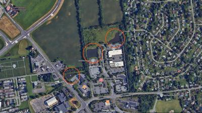 Dead geese found in Hanover Township retention ponds raise avian flu ...