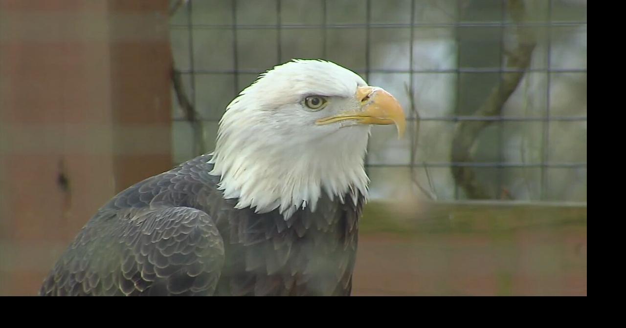 Lehigh Valley Zoo to close Saturday amid freezing temperatures to ...