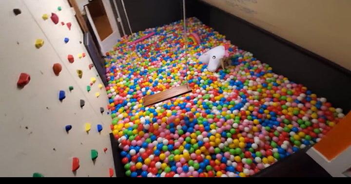 Take a tour of house with most epic secret fort ever | | wfmz.com