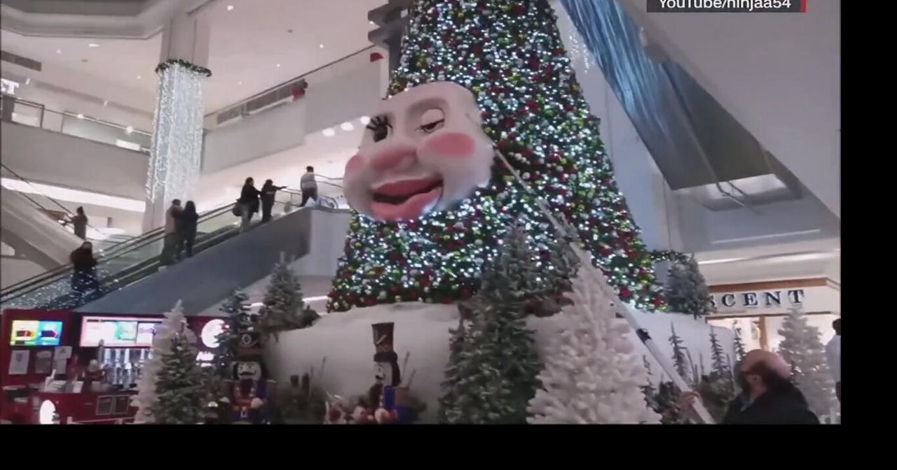 Creepy or cute? Woody the talking Christmas tree returns to mall | Good ...