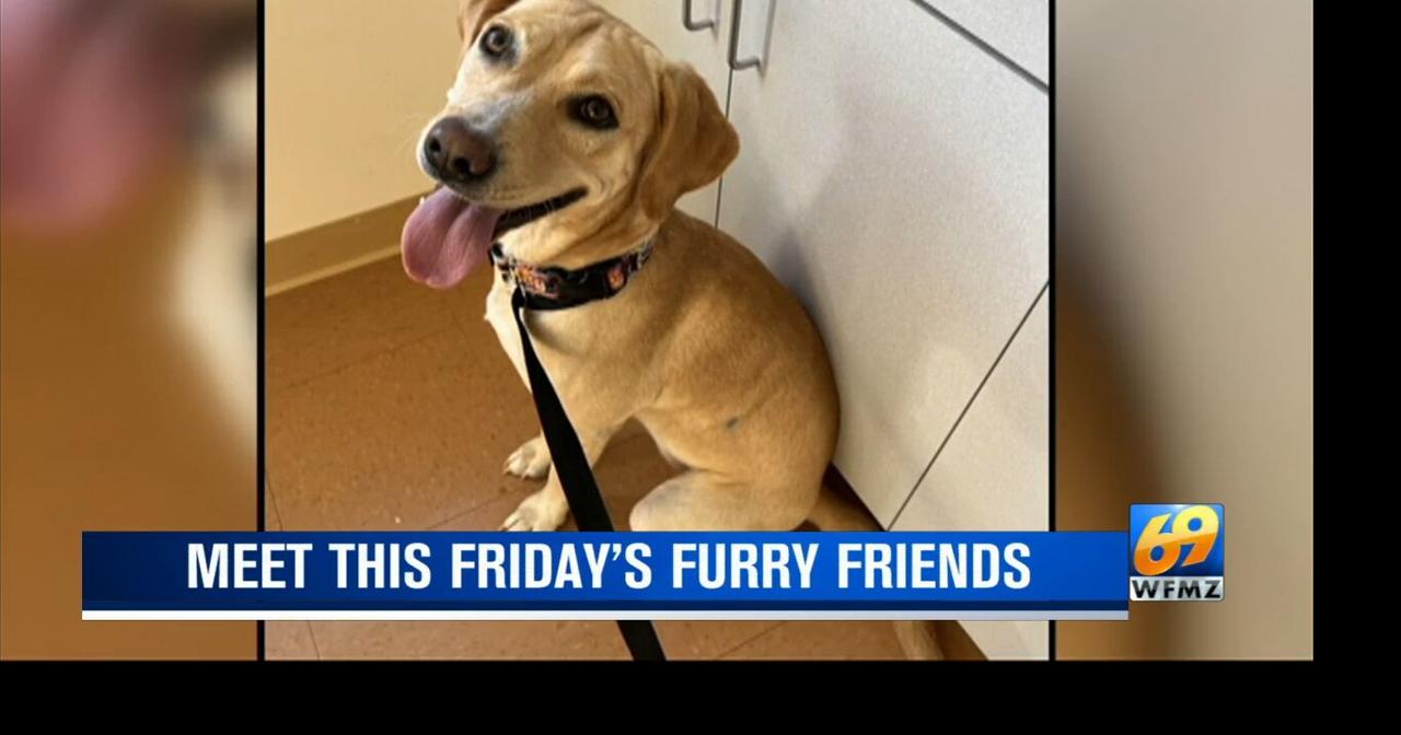 Furry Friends: River and Tent | Video | wfmz.com
