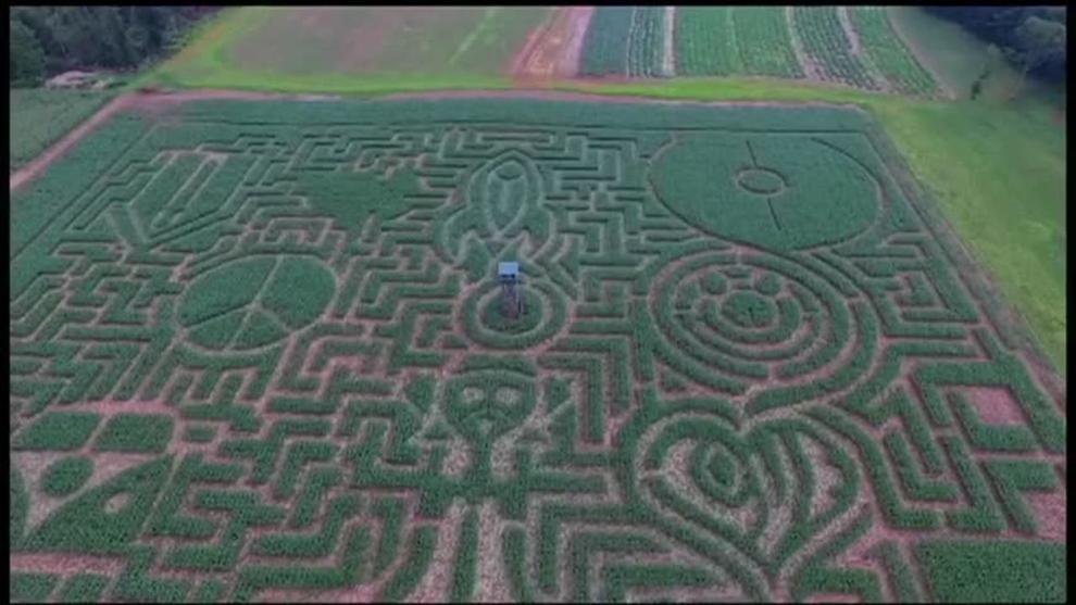 Falling for the Season: Mazezilla Corn Maze | 69News at Sunrise | wfmz.com
