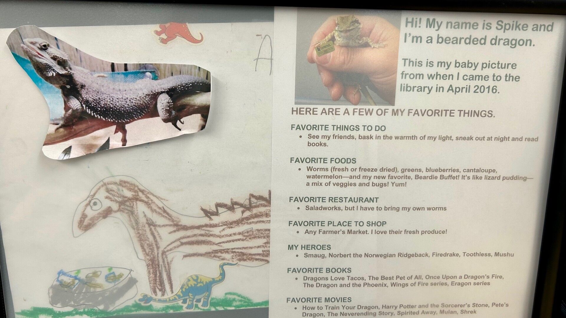 BAPL to say goodbye to beloved library lizard | Bethlehem Area | wfmz.com