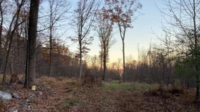 Natural Lands preserves property within Kittatinny Ridge | Lehigh ...