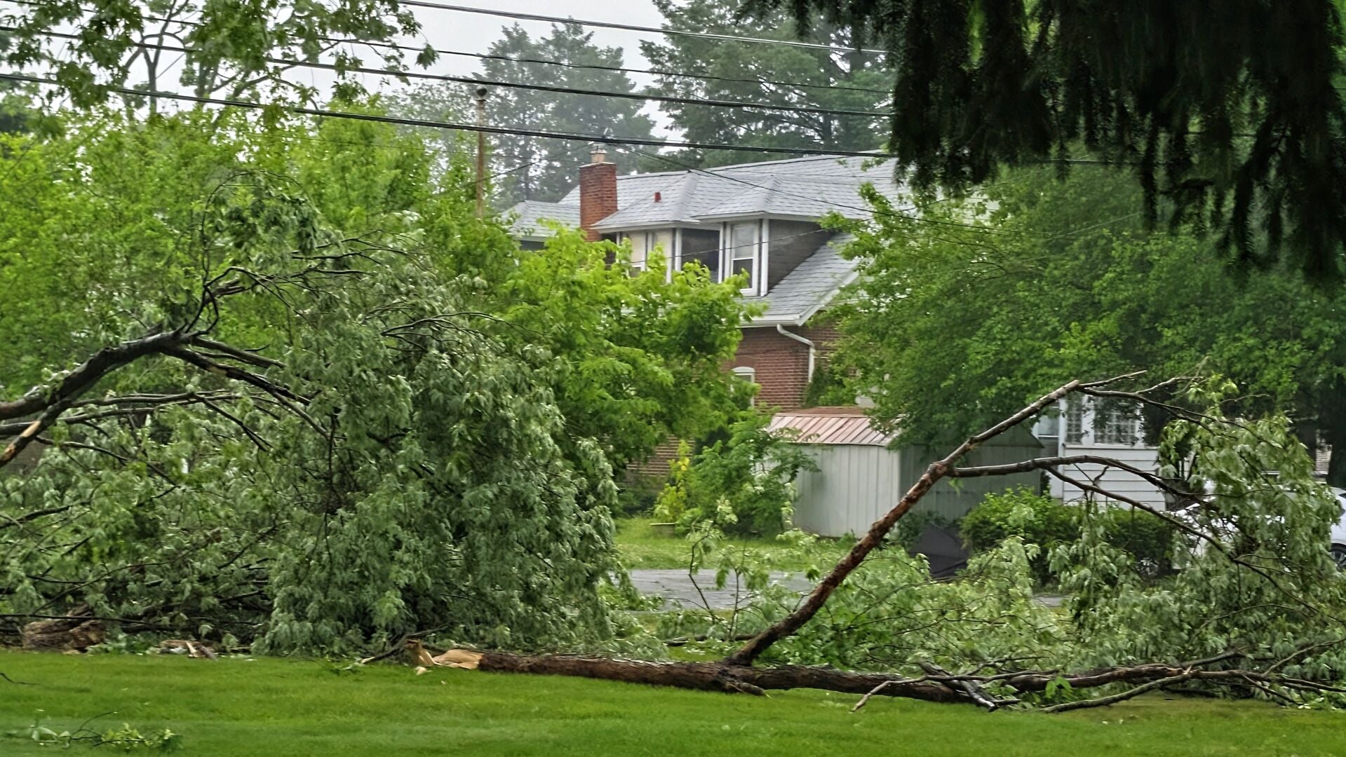 YOUR PHOTOS: Storm damage in our region | Lehigh Valley Regional News ...