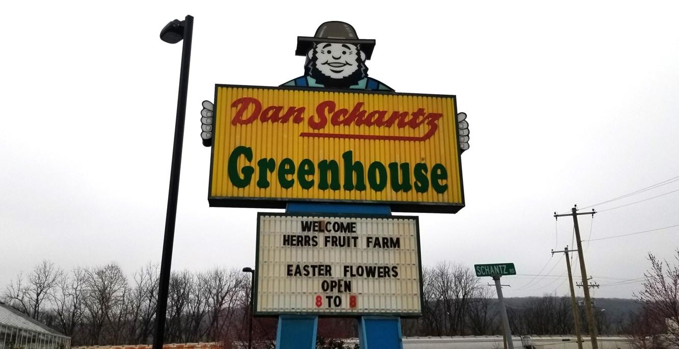 ‘We’re pumped’: 110-year-old plant business sprouts up at former Dan ...