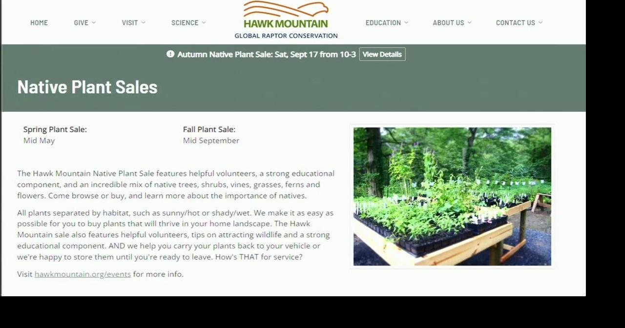 Hawk Mountain's annual Fall Native Plant Sale | News | wfmz.com