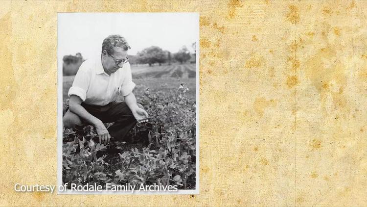 History's Headlines: J.I. Rodale, prophet of organic farming | History ...