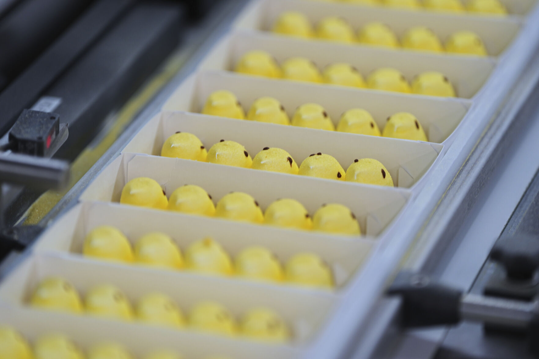 Photos: An inside look at Peeps production | Lehigh Valley Regional ...