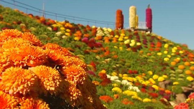 One Tank Trip: Mum Mountain | One Tank Trip | wfmz.com