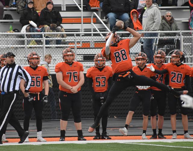 Panthers using mix of power and finesse on state semifinal run | Sports ...