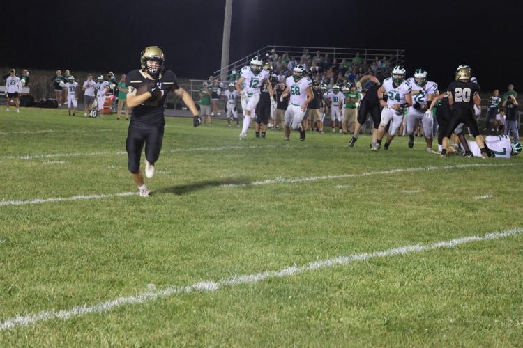 Panthers take the sting out of the Hornets in shutout win, move to 5-0 ...