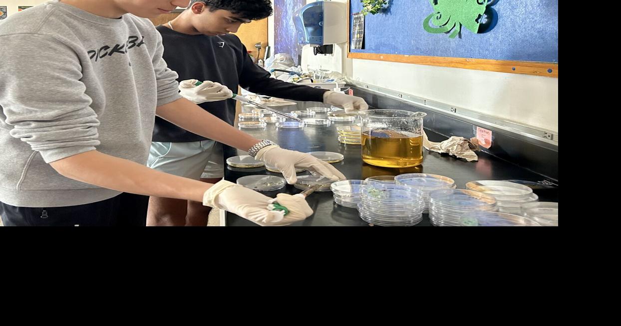 QHS science club grows into afterschool class | Quincy Public Schools ...