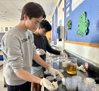 QHS science club grows into afterschool class | Quincy Public Schools ...