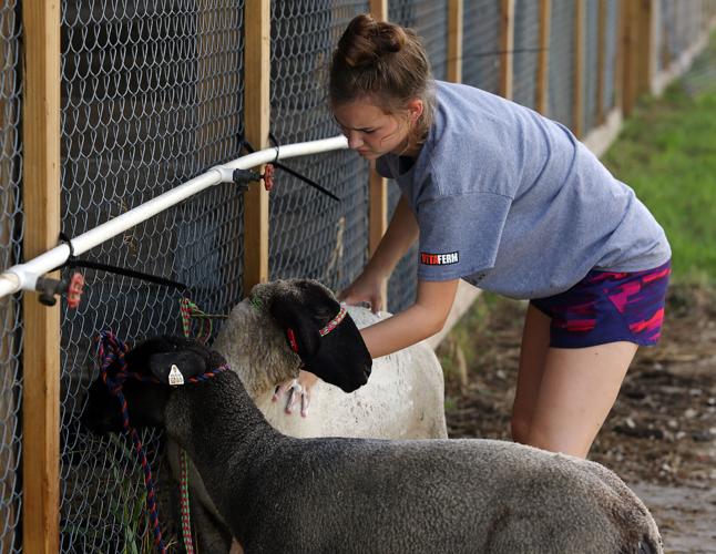 Adams County Fair. | Photo Galleries | whig.com