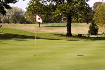 Park Board approves bid for Westview irrigation, tables powerline project | Local News | whig.com