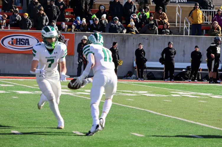 Hornets overwhelmed by Lena-Winslow, finish as Class 1A runner-up ...