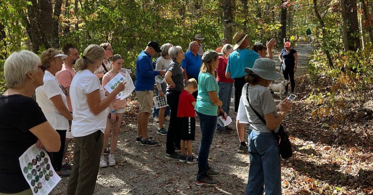 Fall Color Tree Walk celebrates autumn's beauty | Illinois News | whig.com