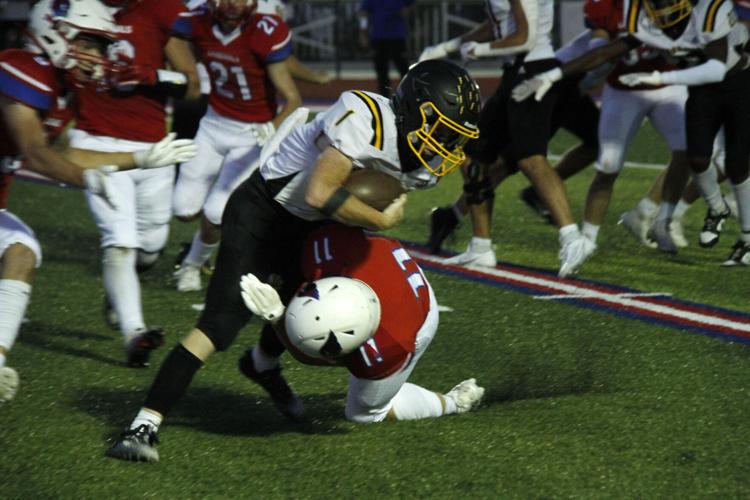 Cardinals fly past Panthers for its first win over CCC rival in eight ...