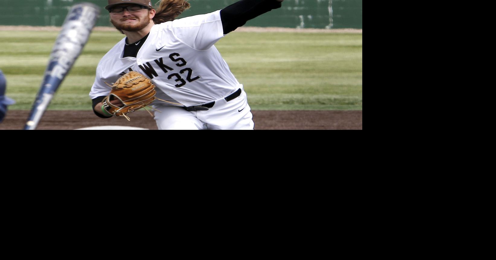 Hawks' Martin named Midwest Region Pitcher of the Year | Sports | whig.com