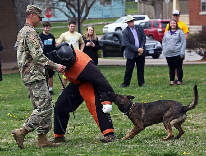 US Army Military Police dog demonstrations at QU. | Photo Galleries ...