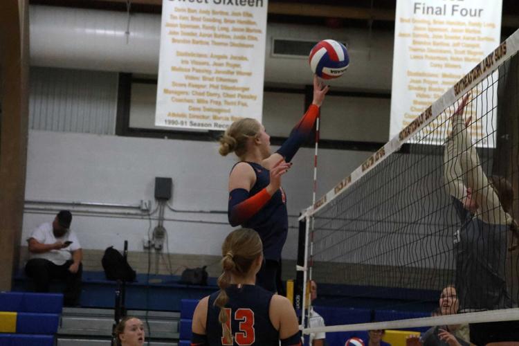 Servers and Spikers: Meet the Herald-Whig All-Area Volleyball Team ...