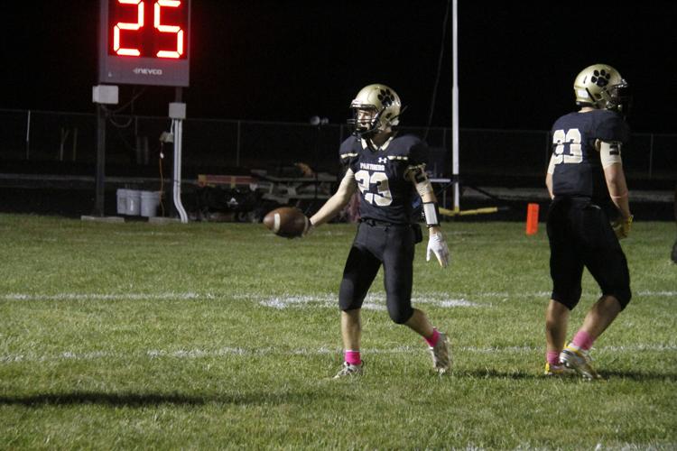 Panthers close out second straight perfect regular season with win over ...