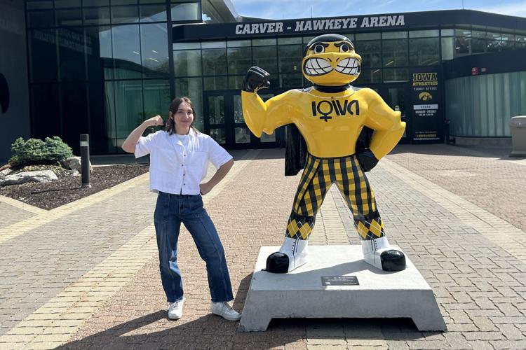 Quincy artists have pieces selected for University of Iowa's 'Herky on ...