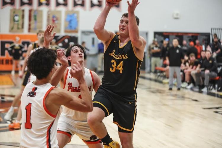 Palmyra puts away Van-Far to advance to home tournament title game ...