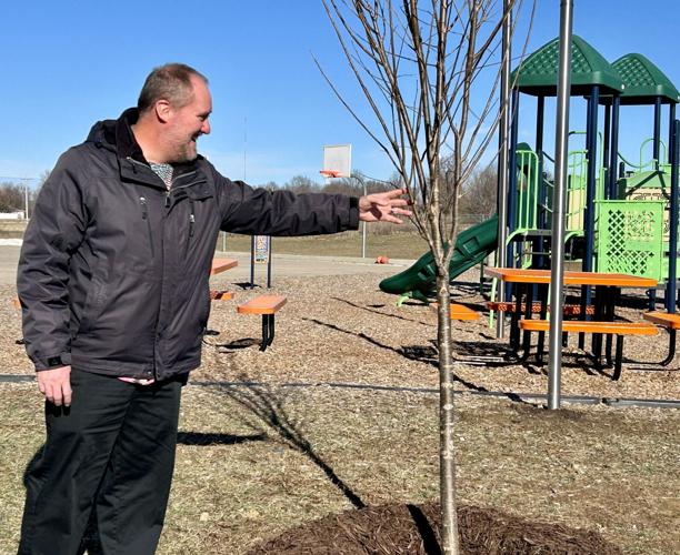 Rooney tree project takes “a step forward” | Quincy Public Schools ...