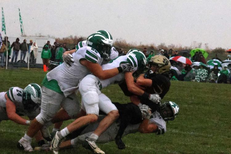 Hornets' defense gets four takeaways to sink Panthers in second round ...