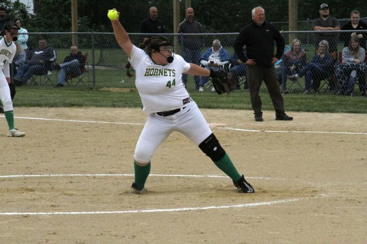 The Swinging Stingers: Hornets walk off winners over Suns to capture ...