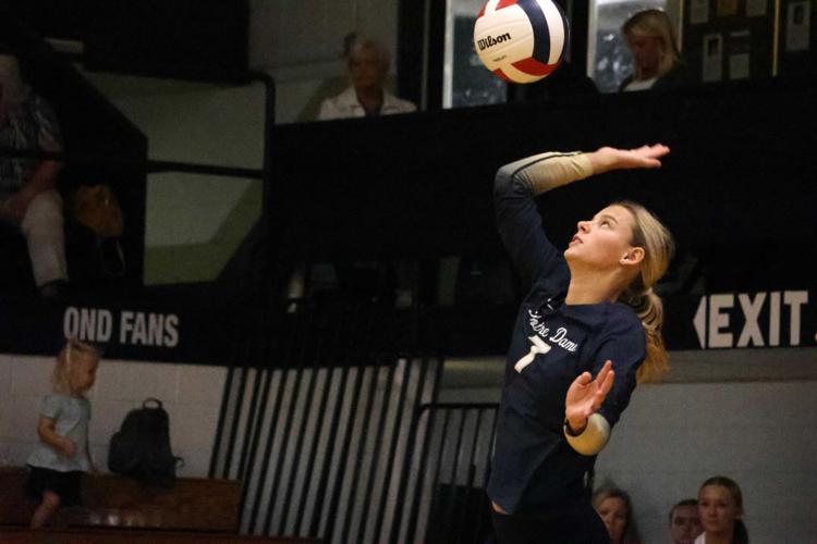 QND overcomes early jitters to put away Pittsfield | Sports | whig.com