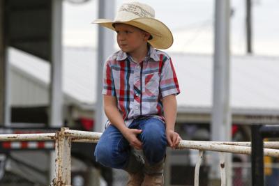 Ethan's Rodeo returns this weekend | Missouri News | whig.com
