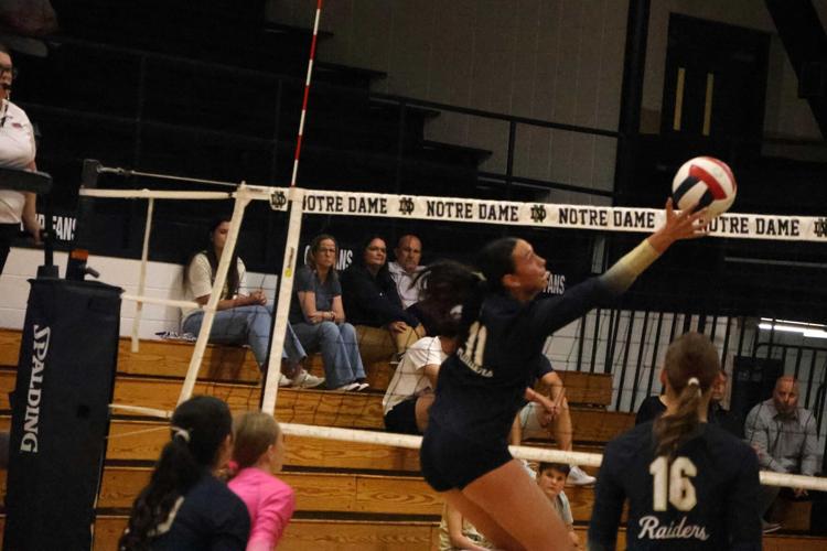 Servers and Spikerrs: Meet the Herald-Whig All-Area Volleyball Team ...