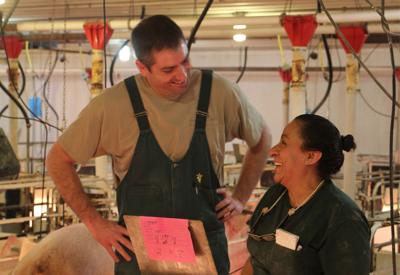 CVS conference helps pig producers cope with challenges | Livestock ...