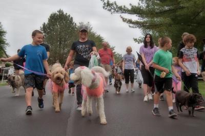 Annual Mutt Strut returning to support Quincy Humane Society | News ...