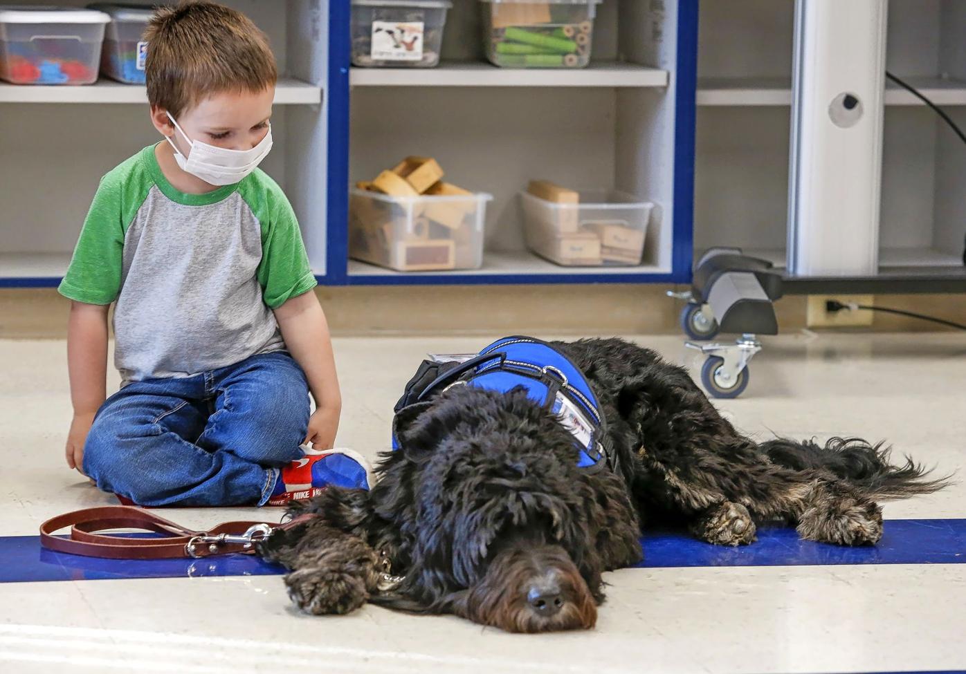 New therapy dog in Western School District makes people happy ...